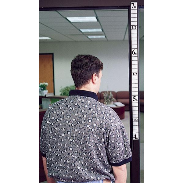 Height Indicator, Vinyl Sticker, 1 1/2" x 3ft, Marked From 4ft - 7ft ...